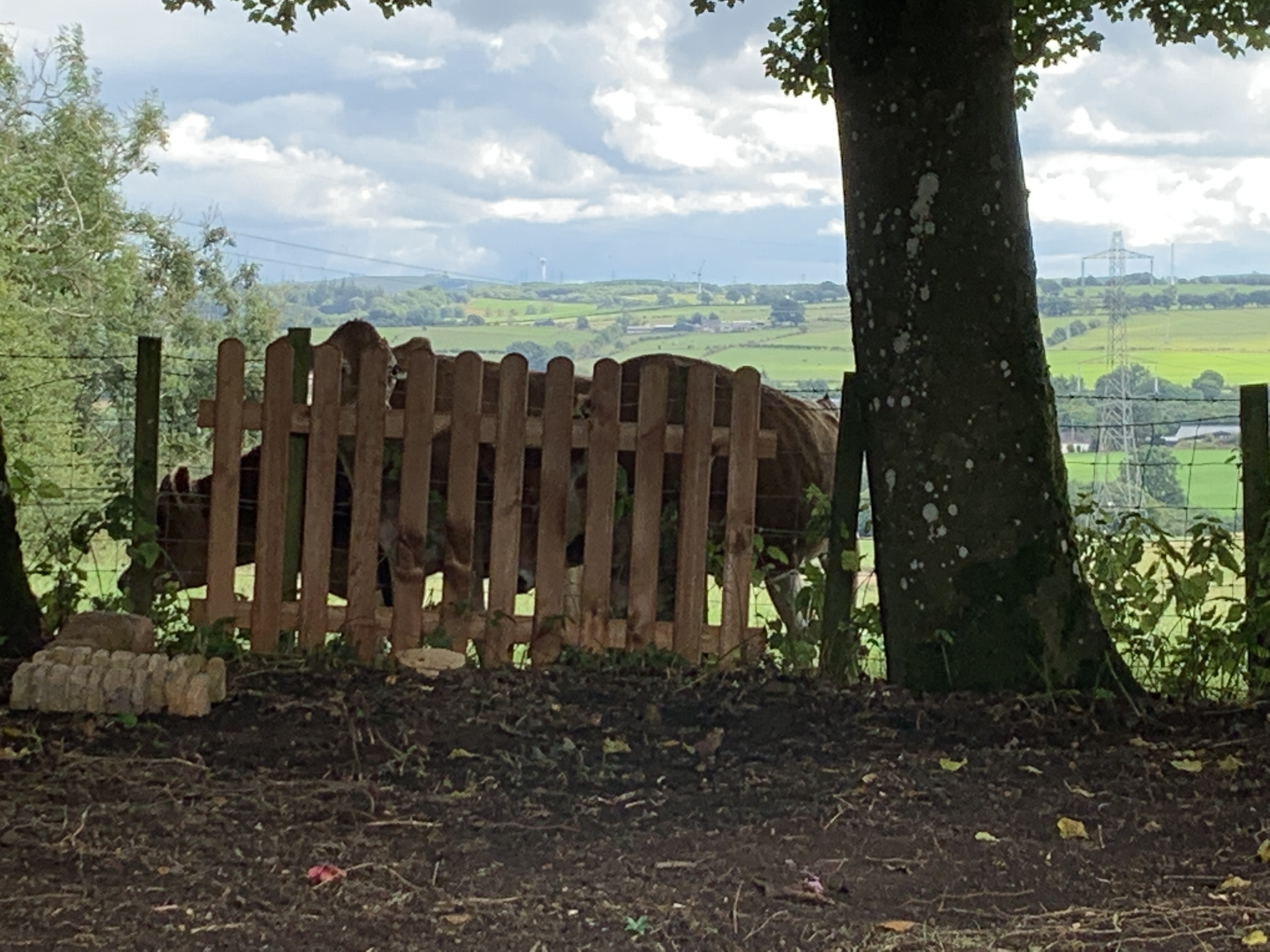 Glassford Community Garden – Glassford Community Group